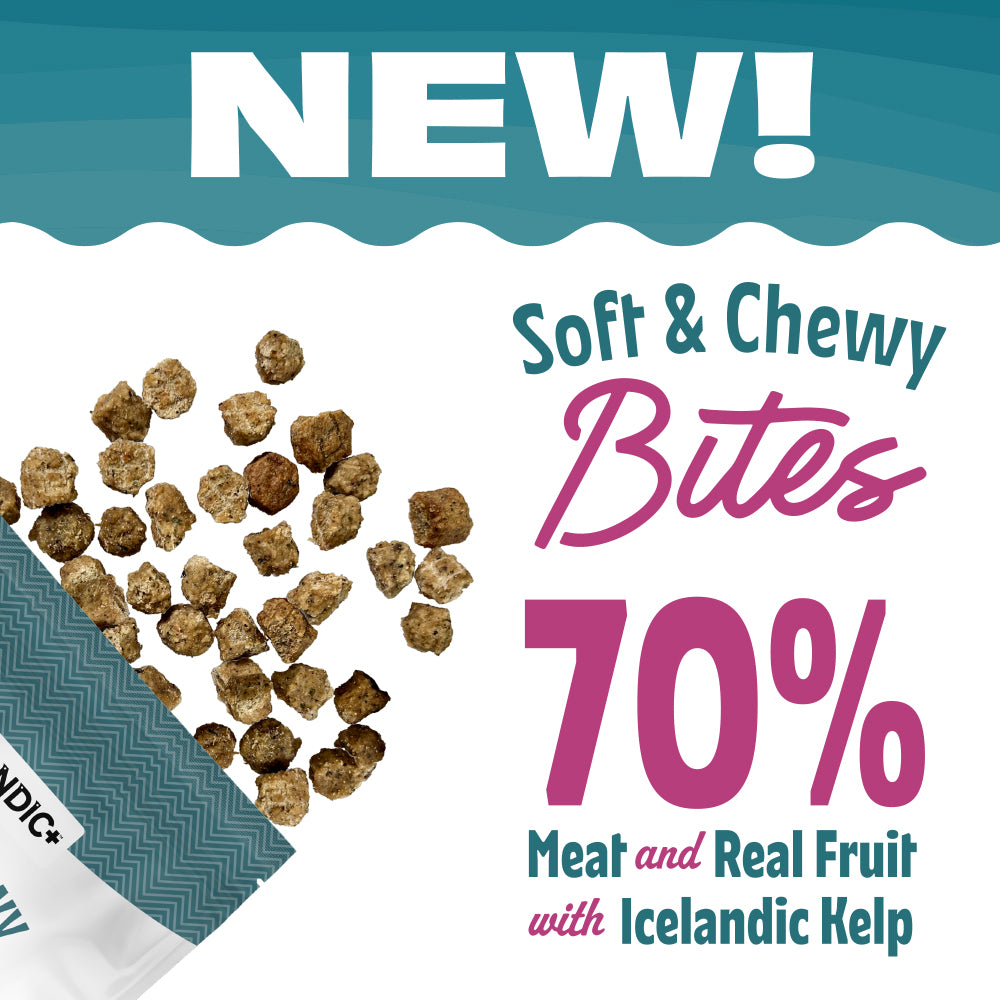 Icelandic+ Natural Dog and Cat Treats Sourced in Iceland